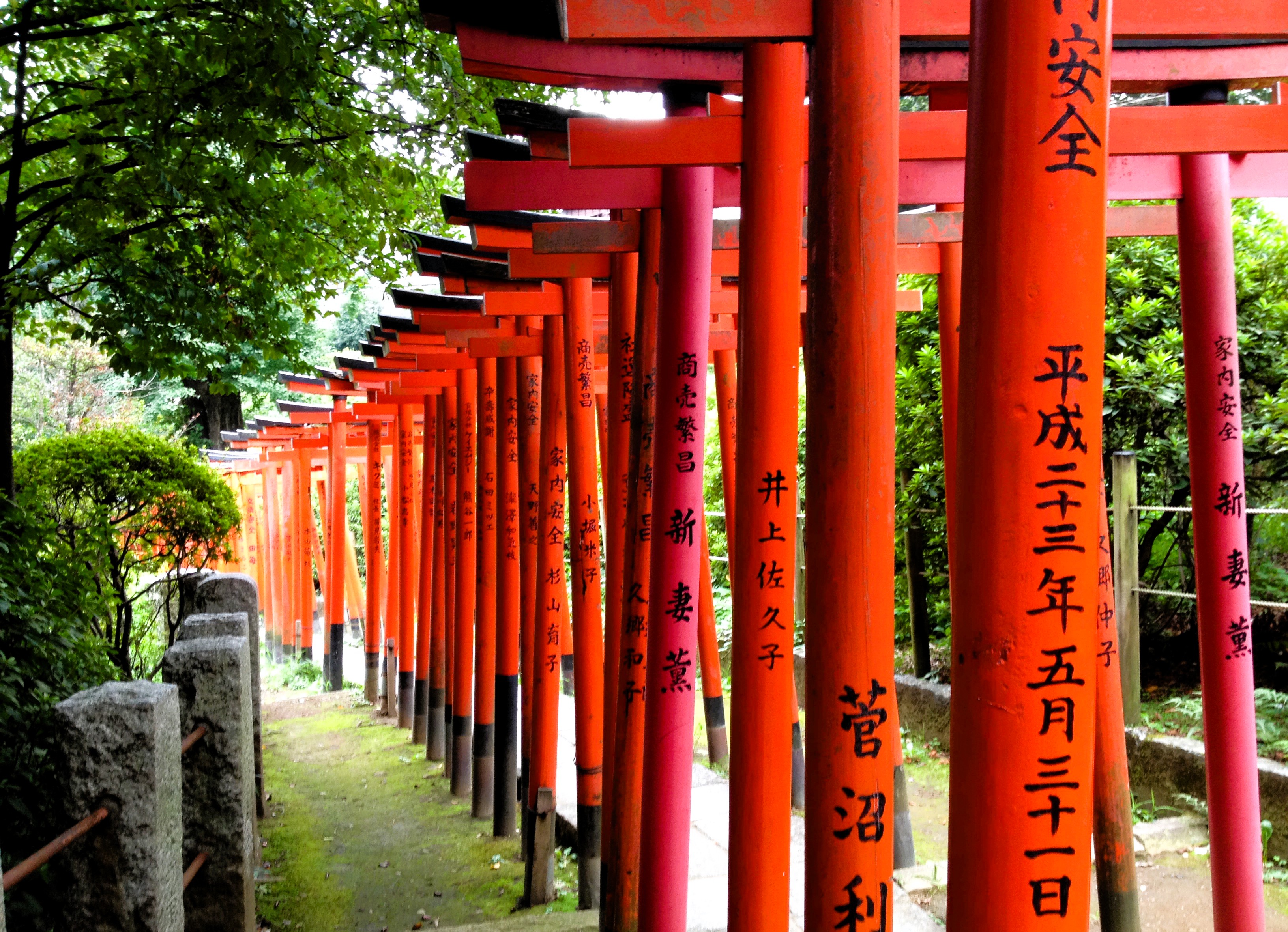 Glimpse of hope: Chinese State travel firms restart Japan group tours ...