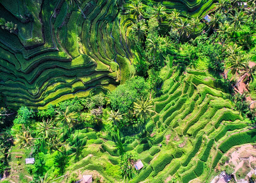Bali steps up tourist security after violent incidents raise concerns